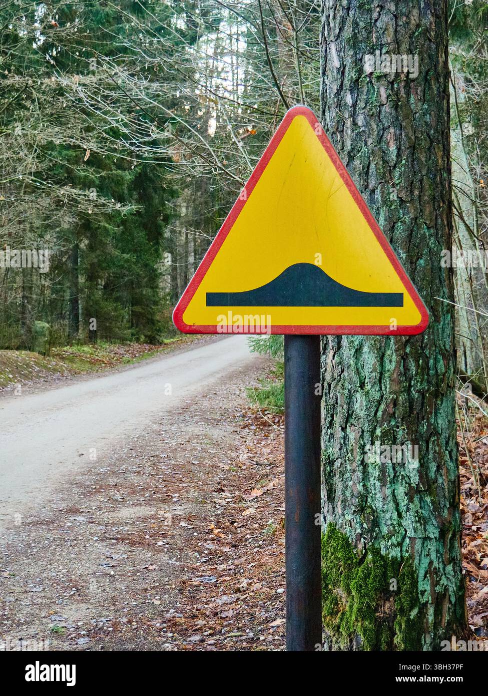 Warning sign for speed bump on a dirt forest road in springtime Stock ...