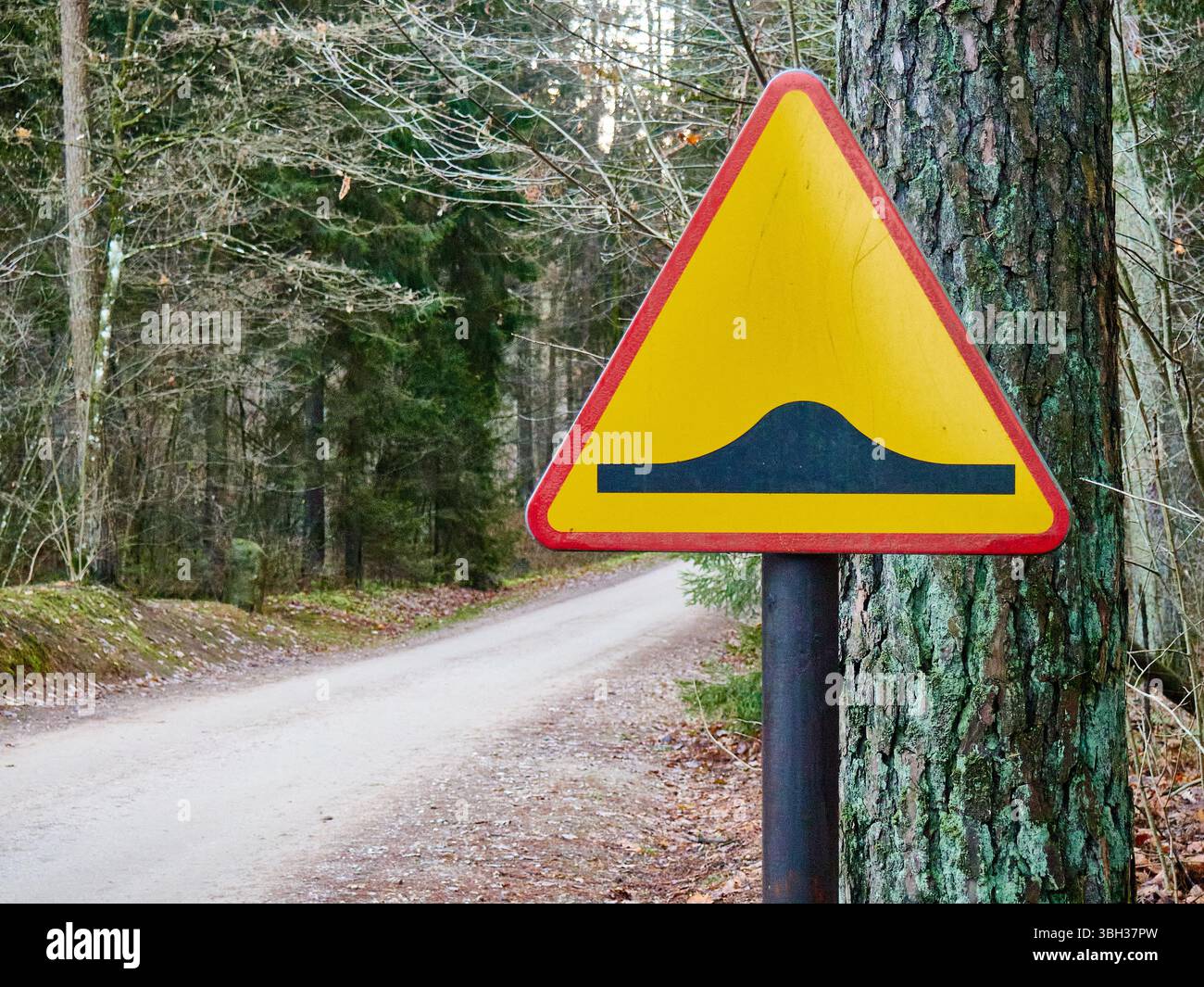 Warning sign for speed bump on a dirt forest road in springtime Stock ...