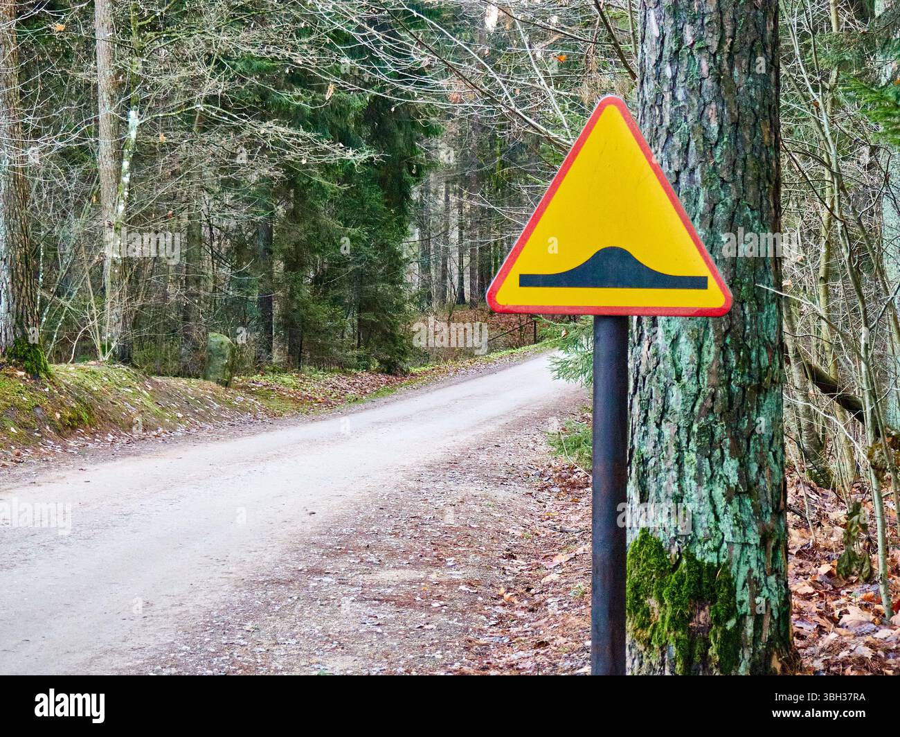 Warning sign for speed bump on a dirt forest road in springtime Stock ...