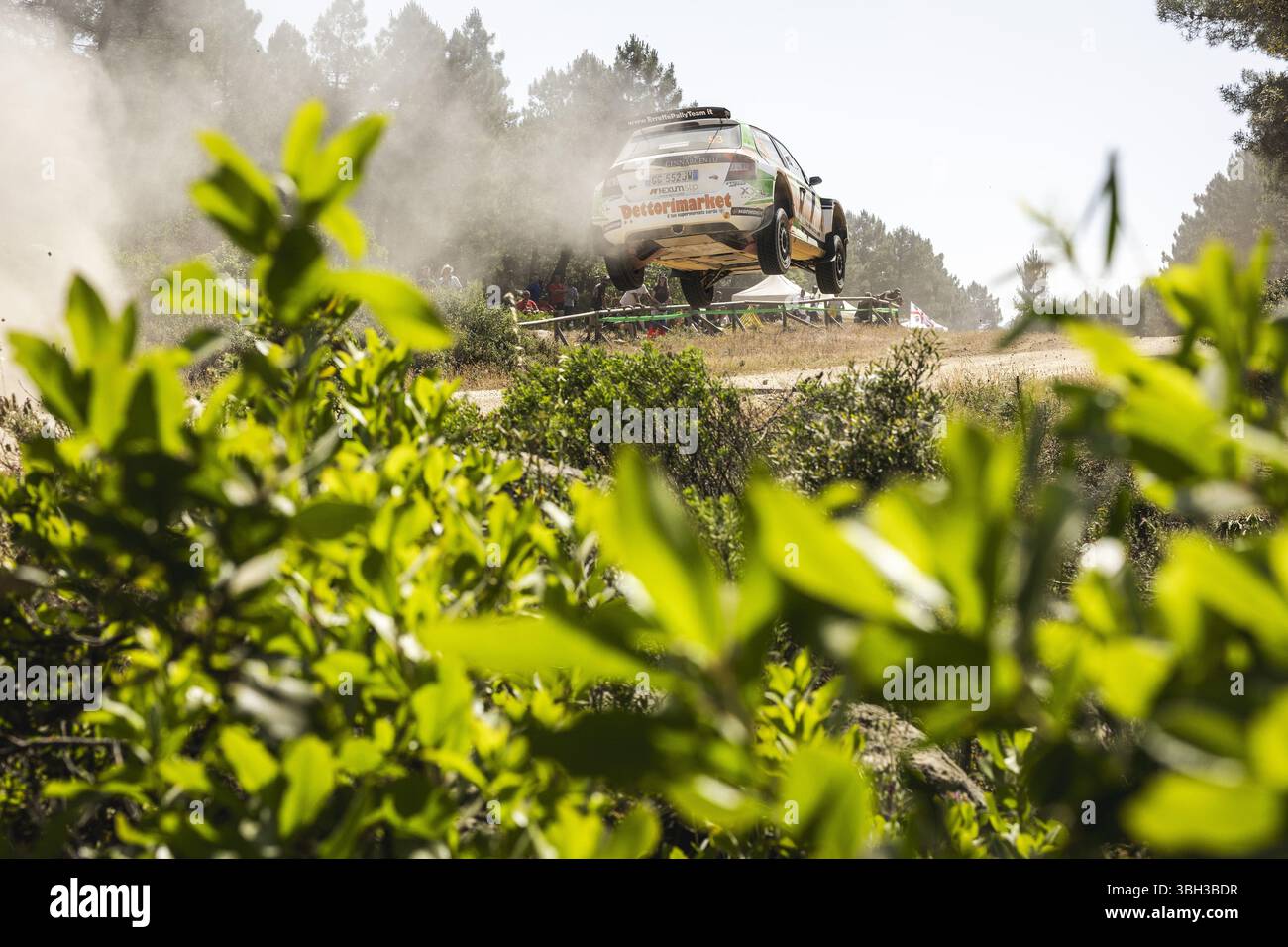 53 Giuseppe DETTORI, Carlo PISANO, Skoda Fabia Evo Rally2, action ...