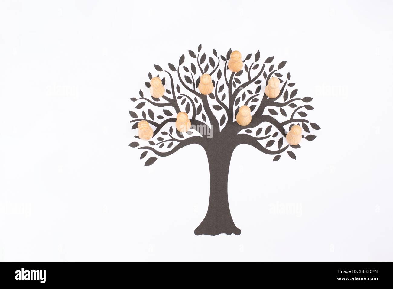 Family Tree, Relative Connection Of Generations, Genealogy Of Ancestor ...