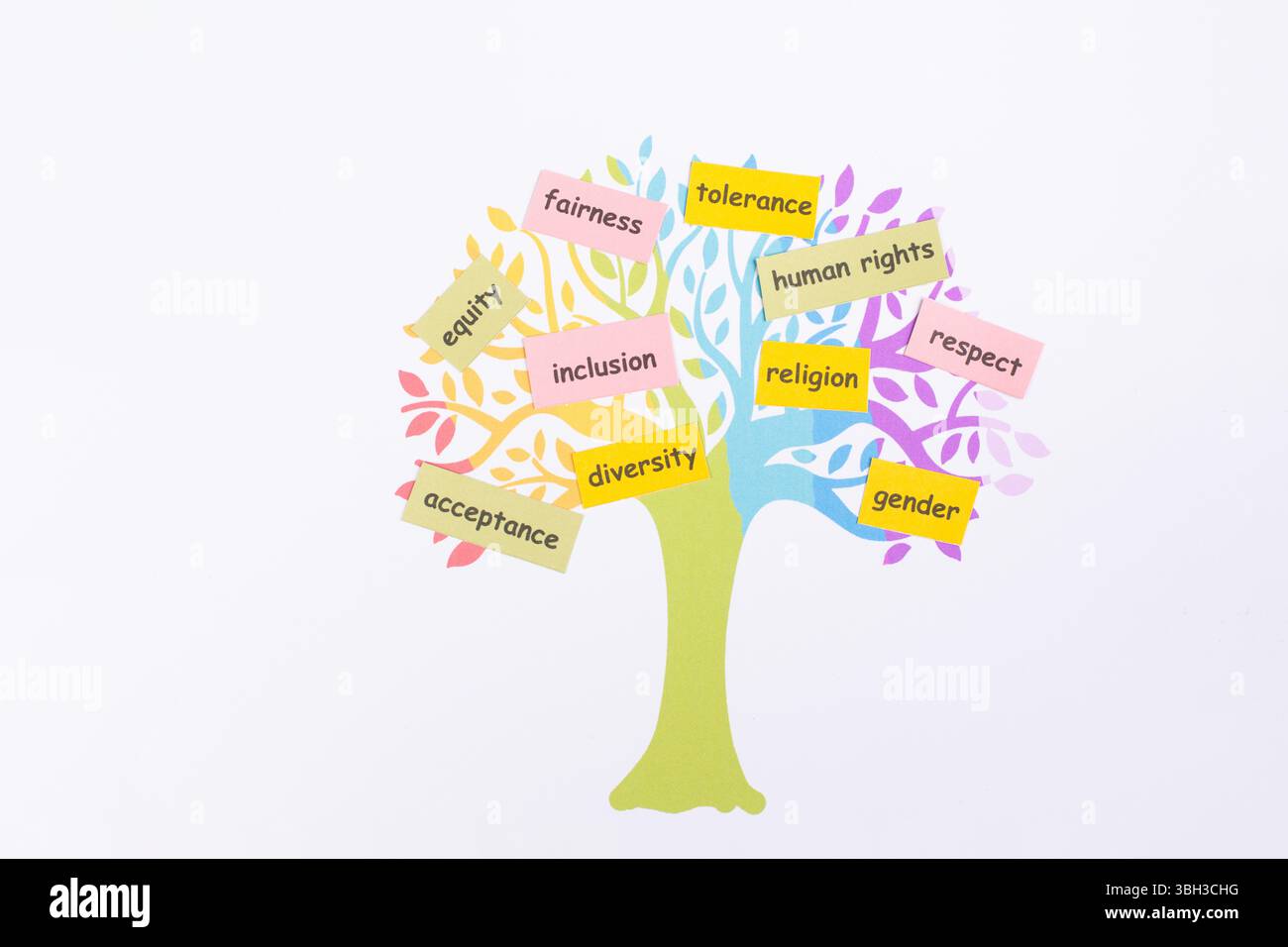 Human Rights, Inclusion, Respect, Tolerance, Equity And Diversity ...