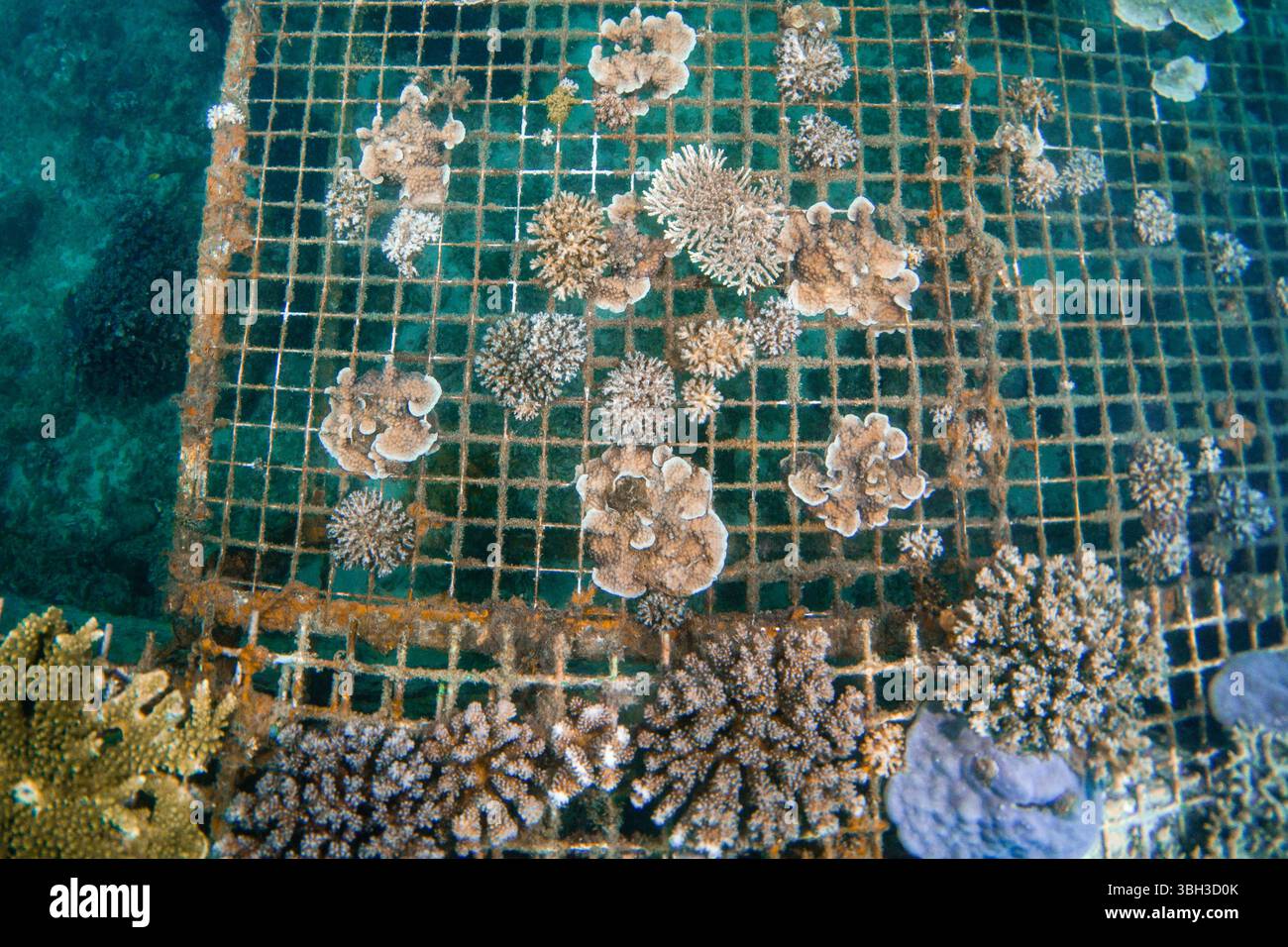 (250607) -- HAIKOU, June 7, 2025 (Xinhua) -- This photo taken on May 27 ...