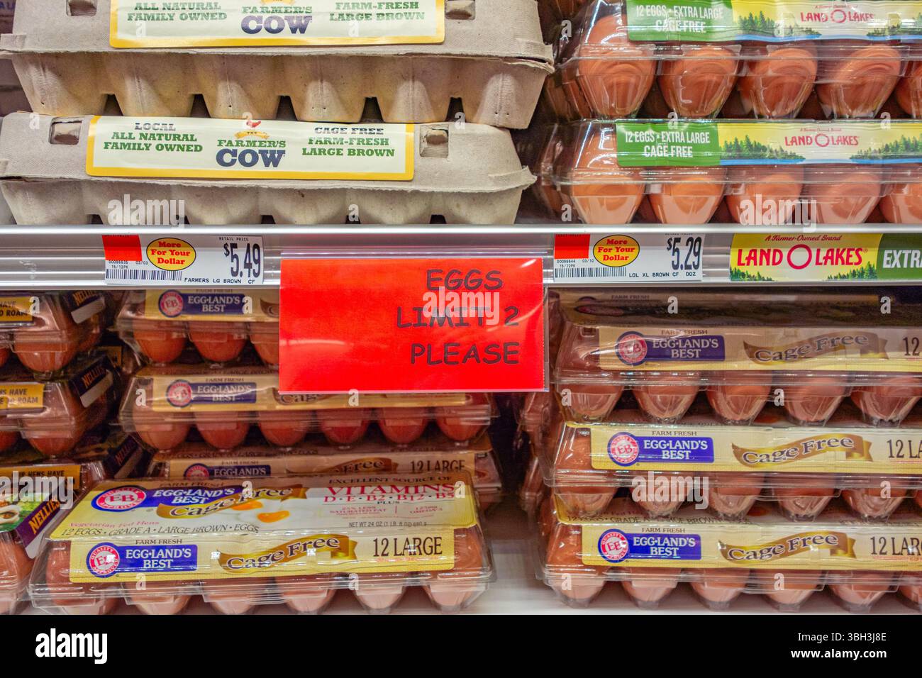 Boston, MA, US-May 15, 2025: Supermarket shelf with egg shortage and ...
