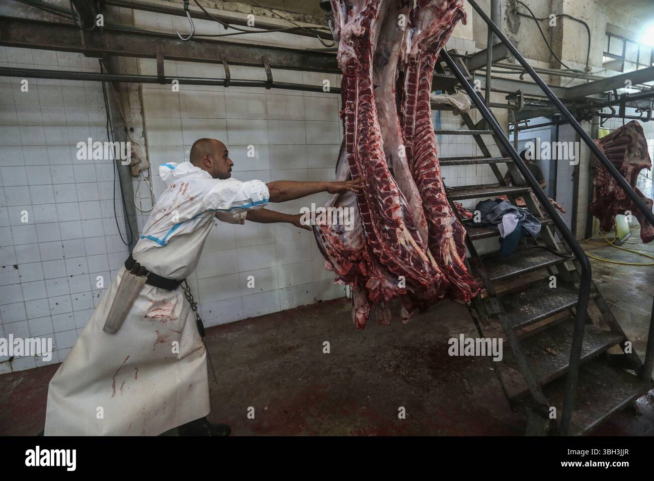 Nablus, Palestine. 07th June, 2025. Palestinian butchers slaughtered ...