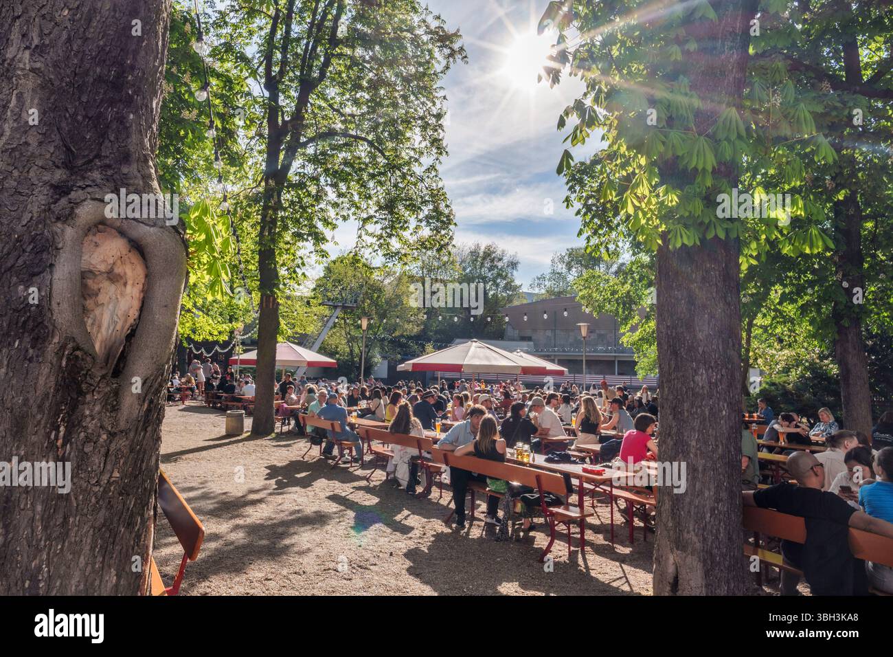 Prater, Biergarten, Prenzlauer Berg, Berlin , Deutschland Stock Photo ...