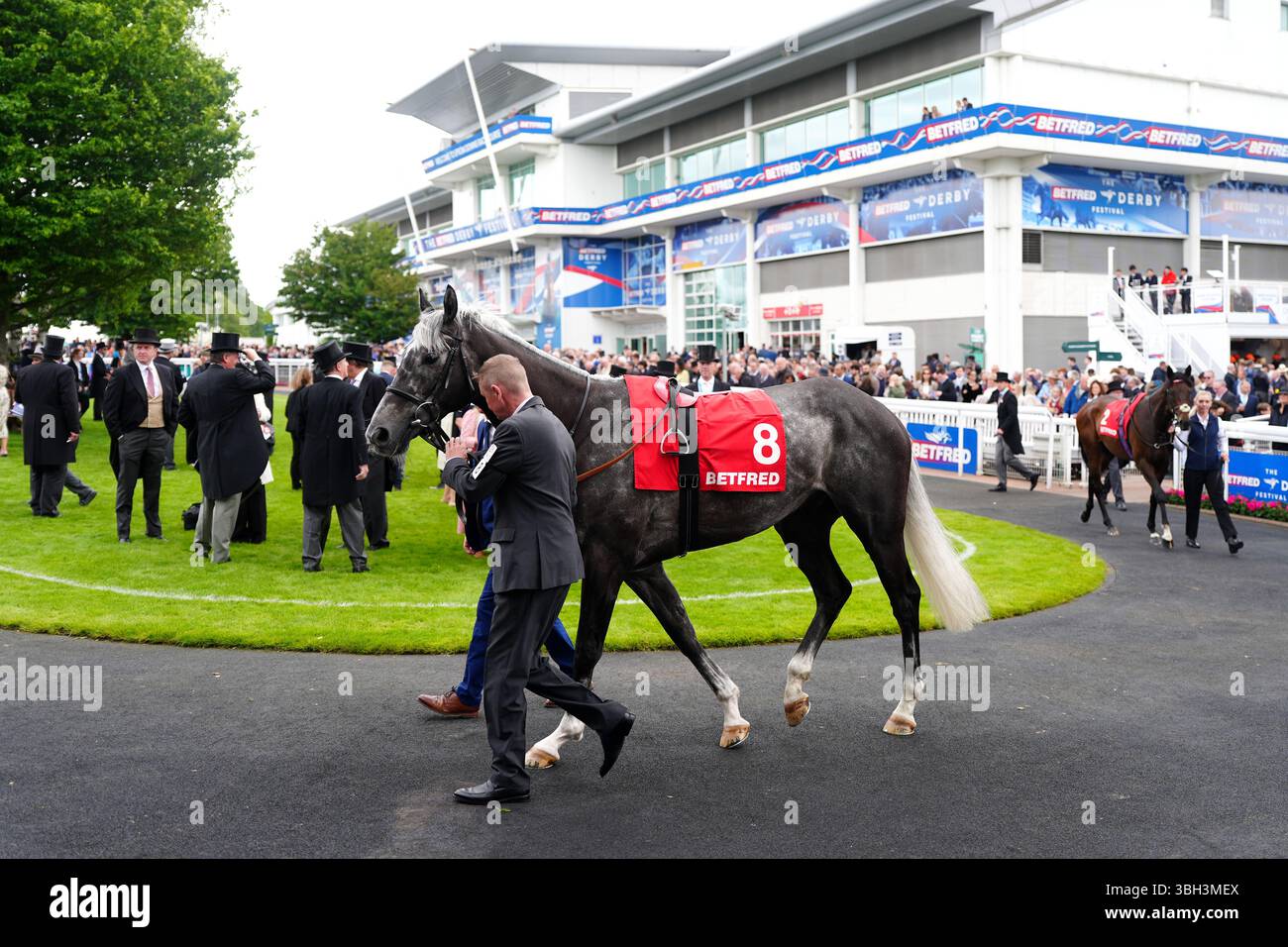 Horse Tyrrhenian Sea in the parade ring before the Betfred Diomed ...