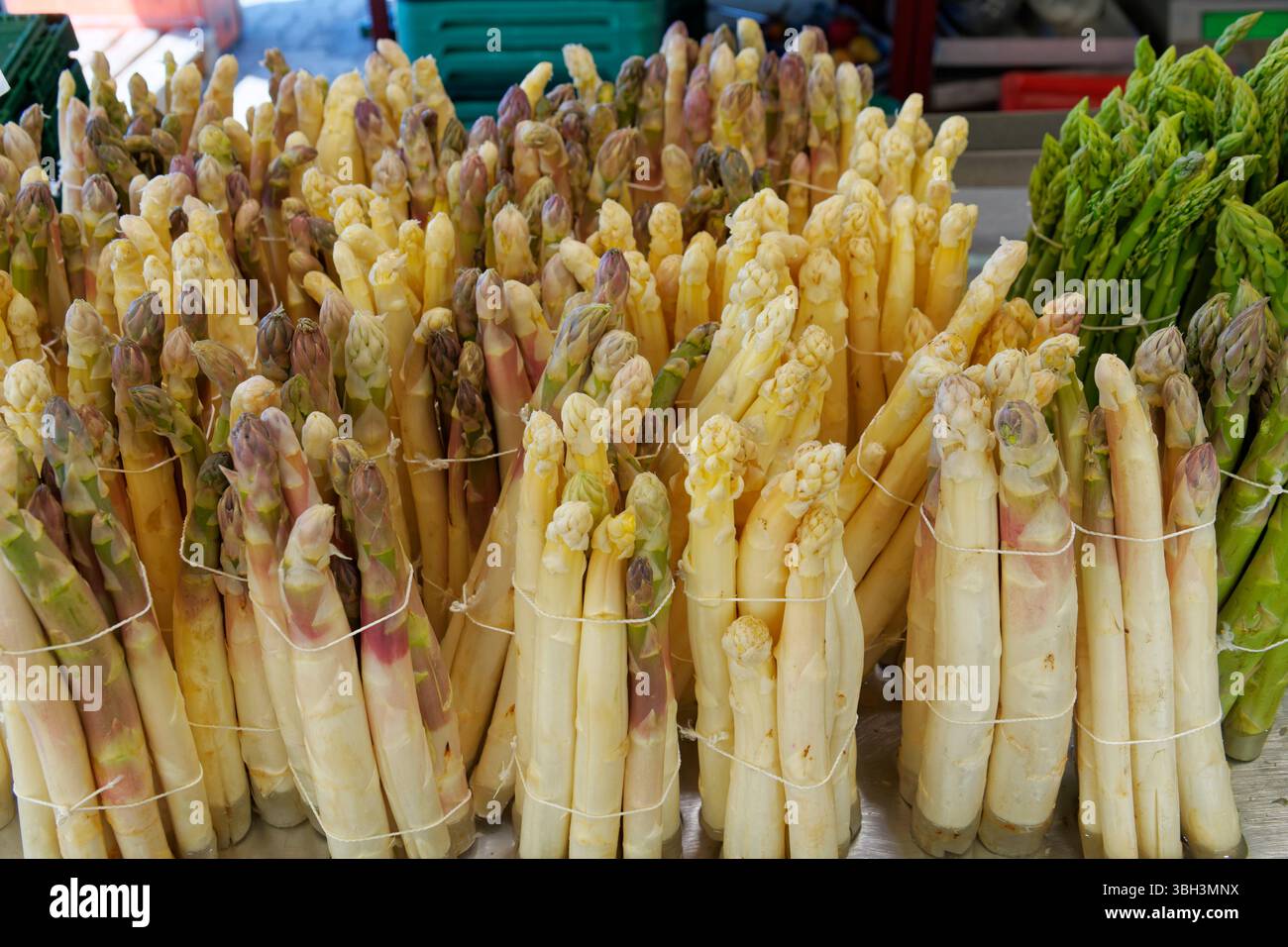 Spargelhof Klaistow, Erlebnisbauerhof, Potsdam-Mittelmark, frischer ...