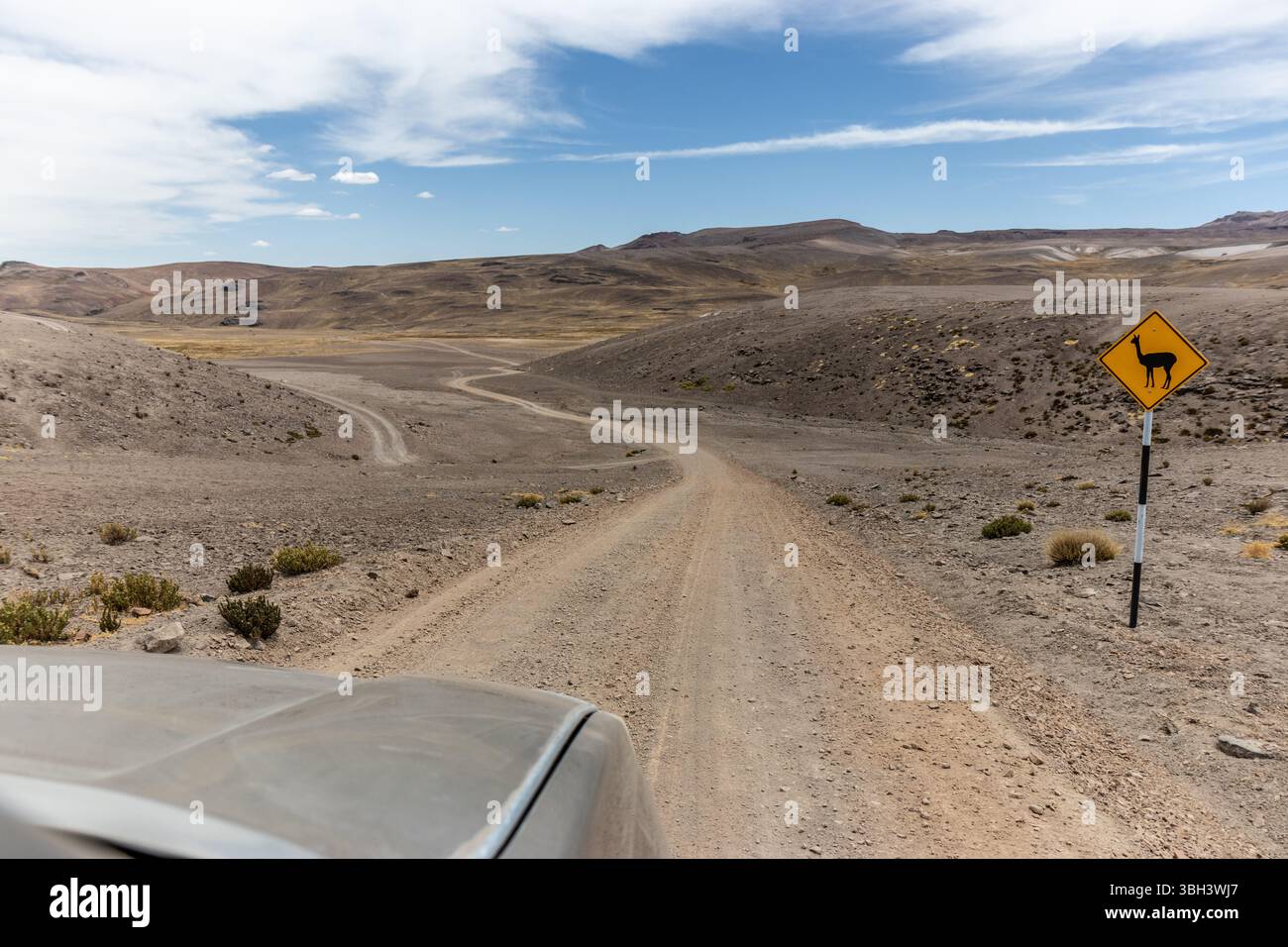 Vicuna warning sign near Mismi volcano, Peru Stock Photo - Alamy