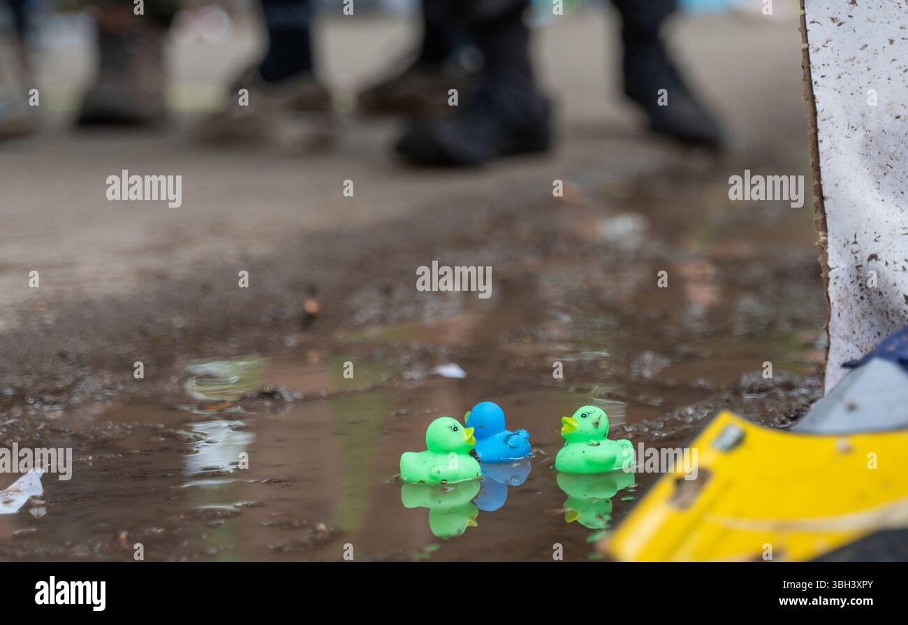 07 June 2025, Bavaria, Nuremberg: Three colorful plastic ducklings swim ...