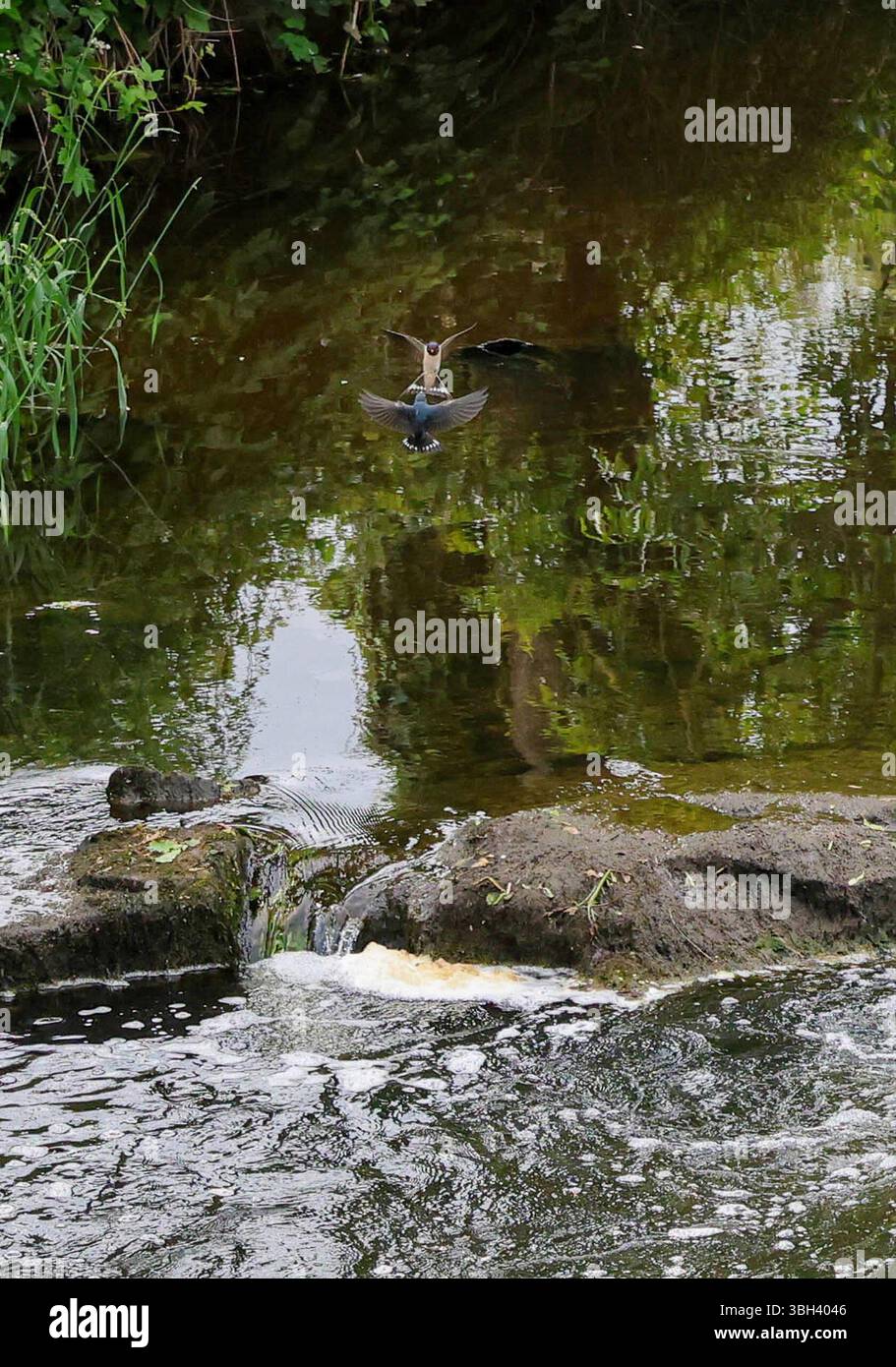 Magheralin, County Armagh, Northern Ireland, UK. 07 Jun 2025. UK ...