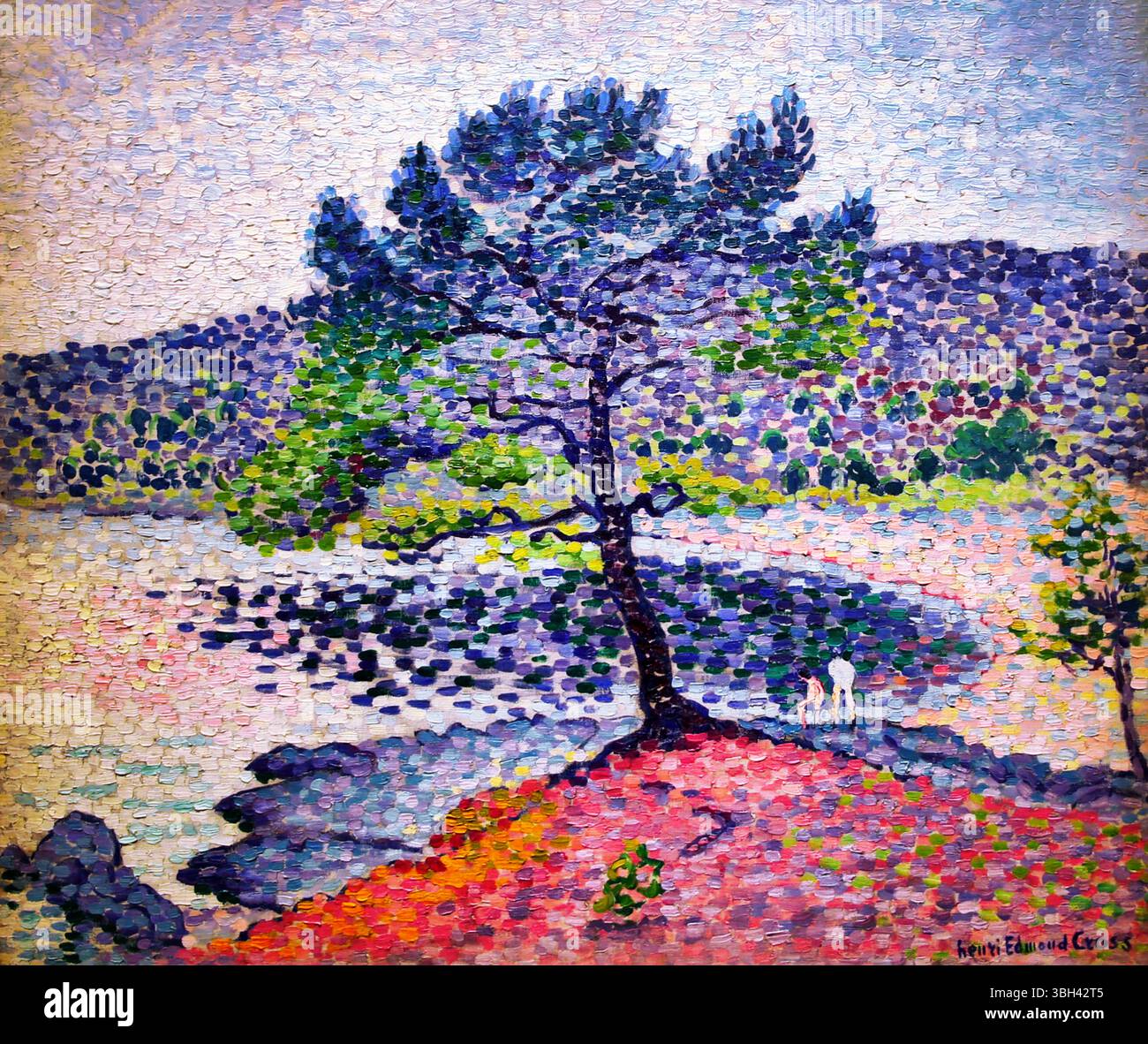 Effetto sera hi-res stock photography and images - Alamy