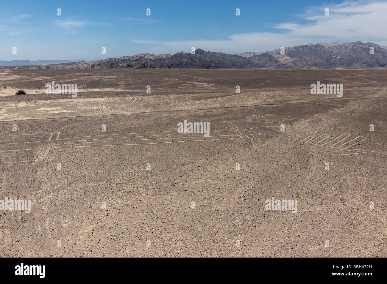The Lizard image of Nazca lines, Peru Stock Photo - Alamy