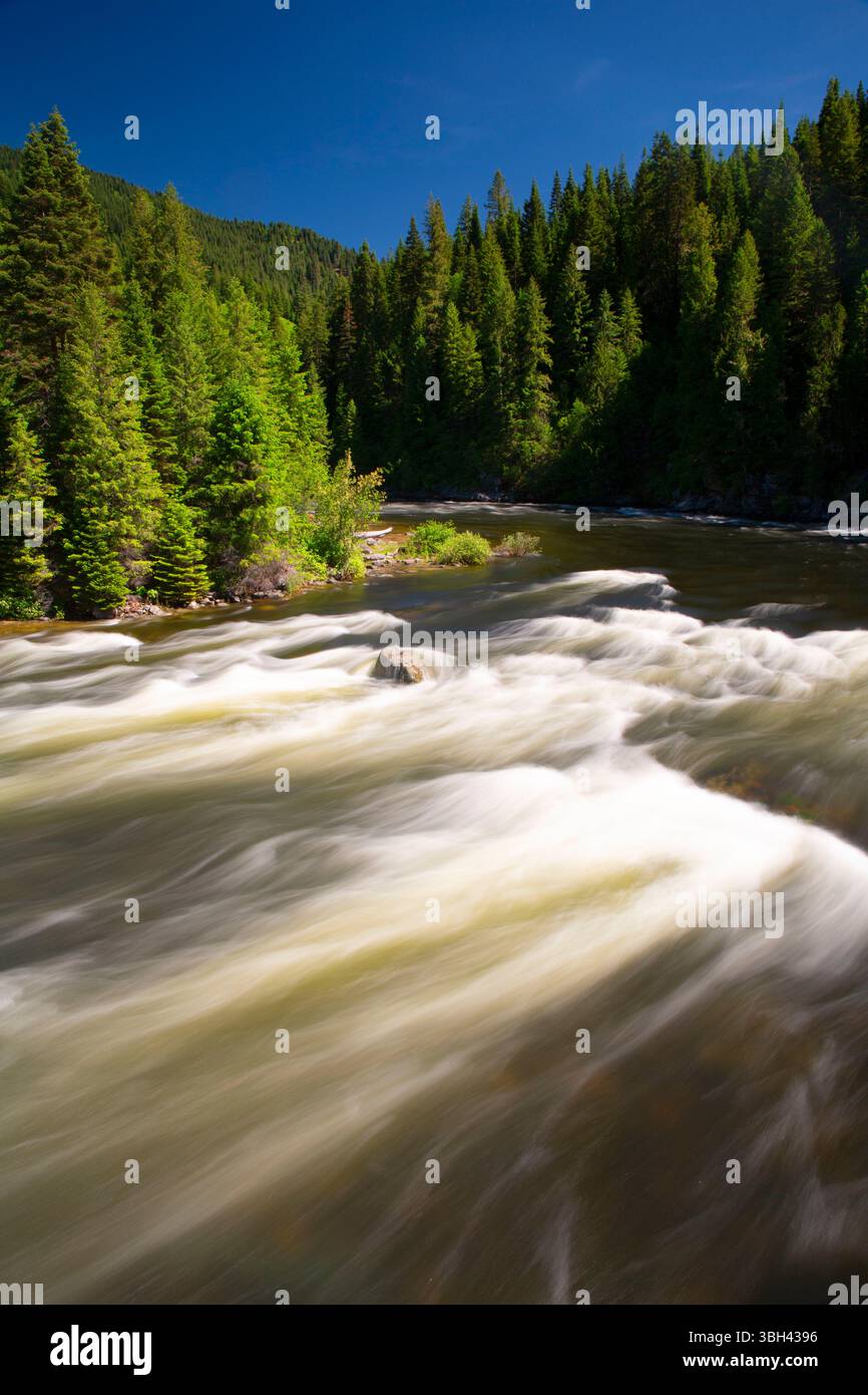 Lochsa Wild and Scenic River, Clearwater National Forest, Northwest ...