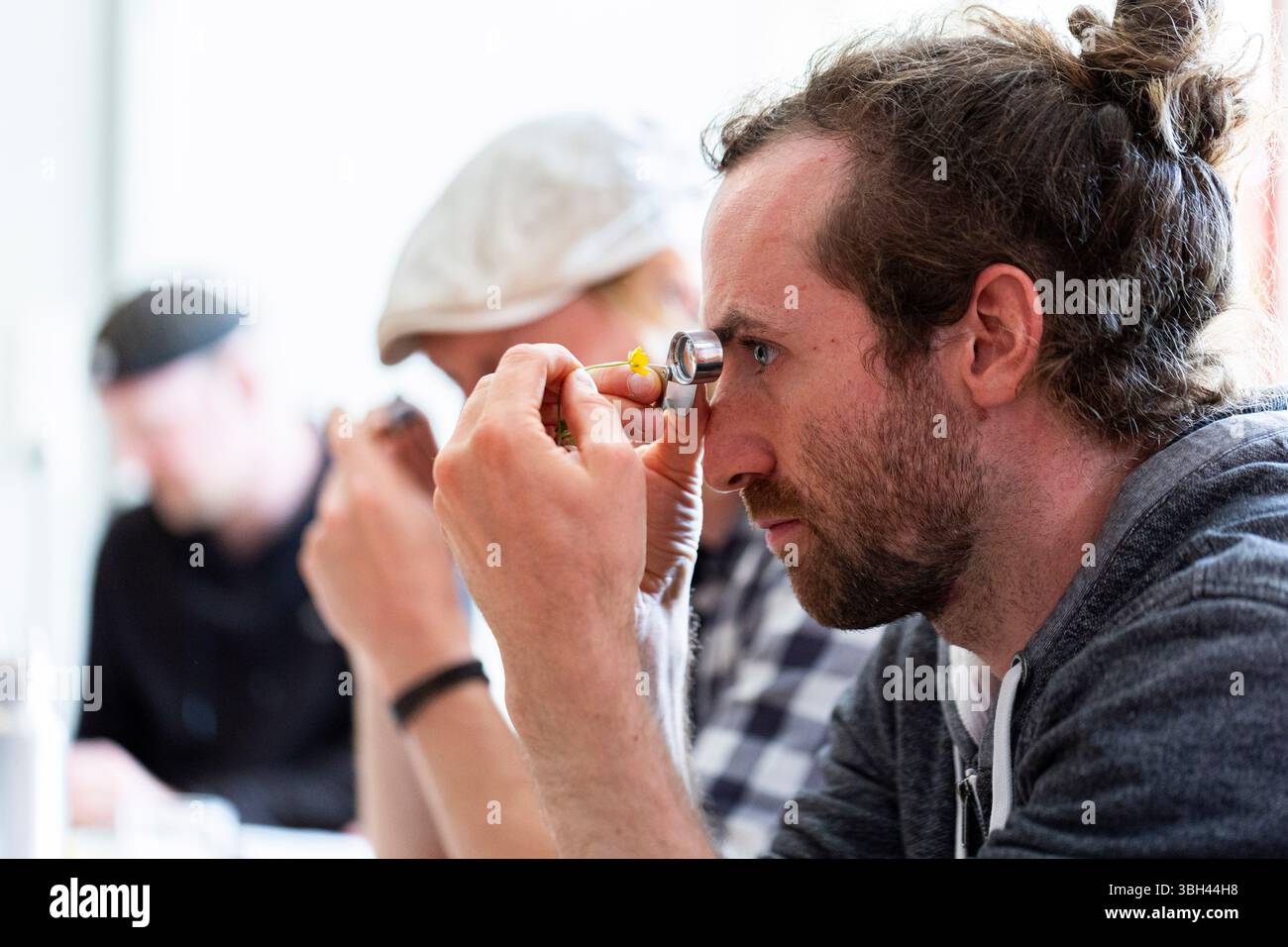 Springe, Germany. 07th June, 2025. A participant in a field botany ...