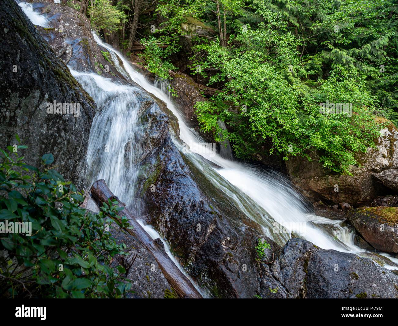 Beside the stawamus chief trail hi-res stock photography and images - Alamy