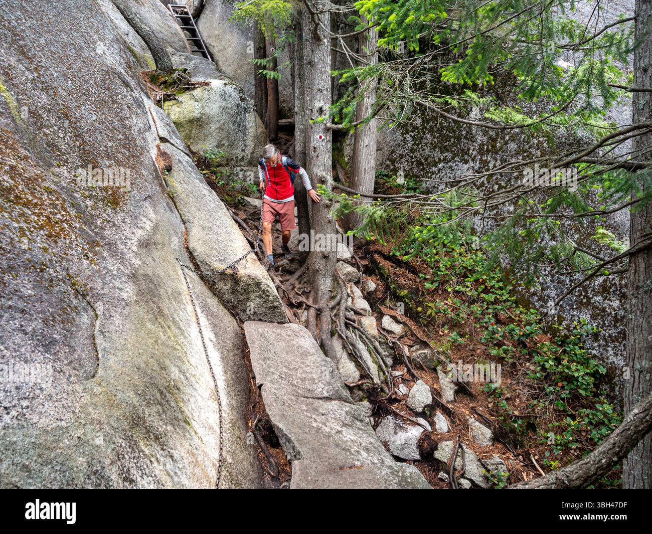 BC00848-00...BRITISH COLUMBIA - Hiker descending off Dome 2 using ...