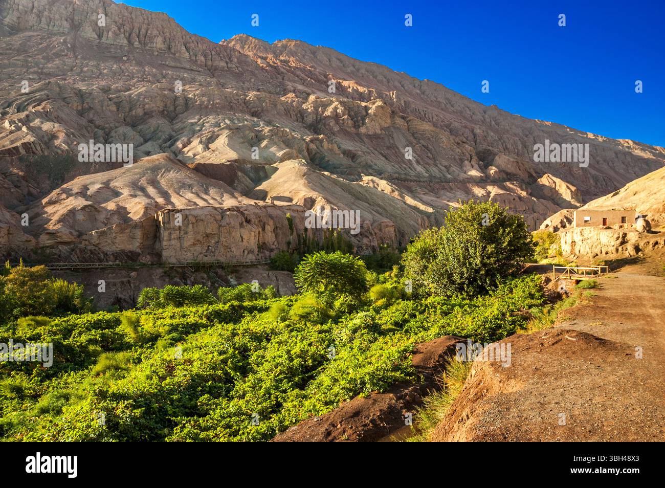 Fields in the oasis Uighur village of Tuyoq near the Flaming Mountains ...