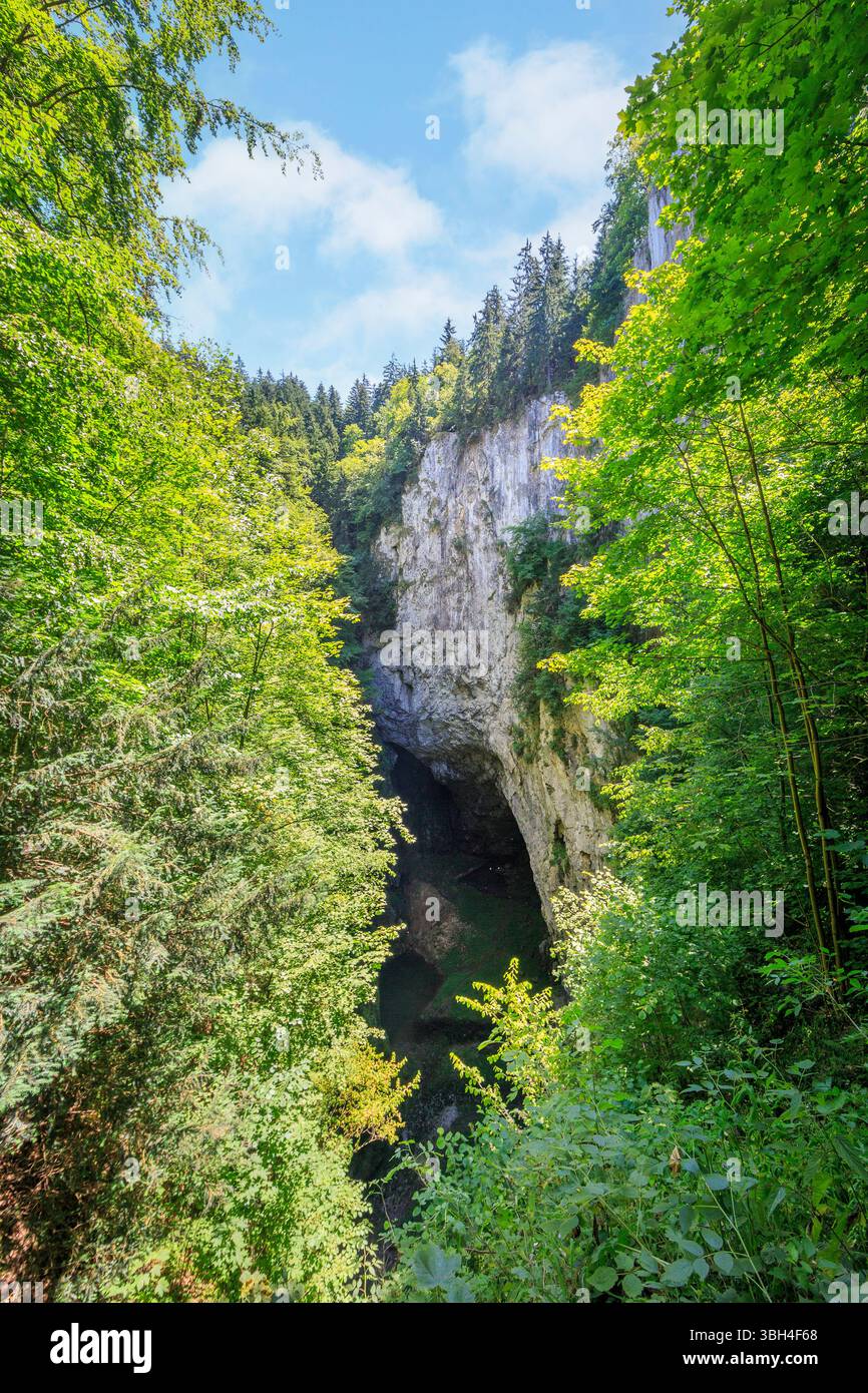 The Macocha Abyss, Czech Republic Stock Photo - Alamy