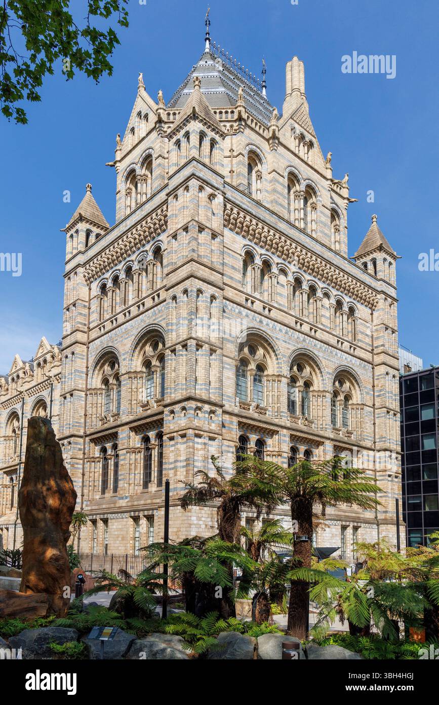 Ferns and geological display outside the Natural History Museum ...