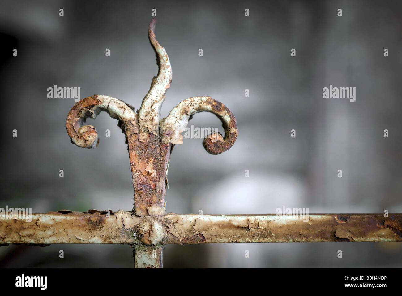 Close up fence which has become rusted through years of neglect. Art ...