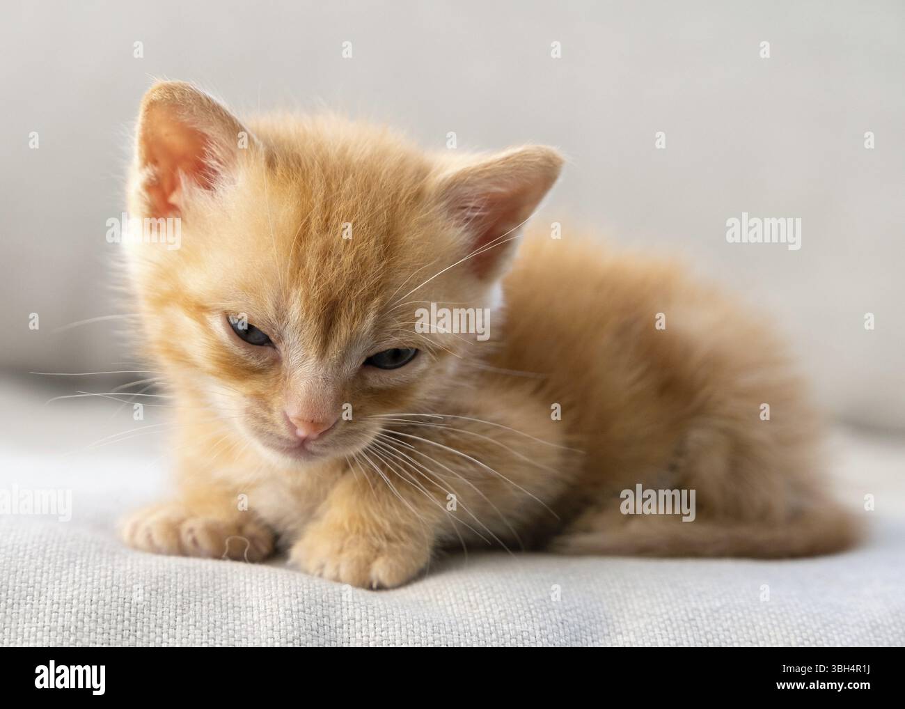 Clumsy young hi-res stock photography and images - Alamy