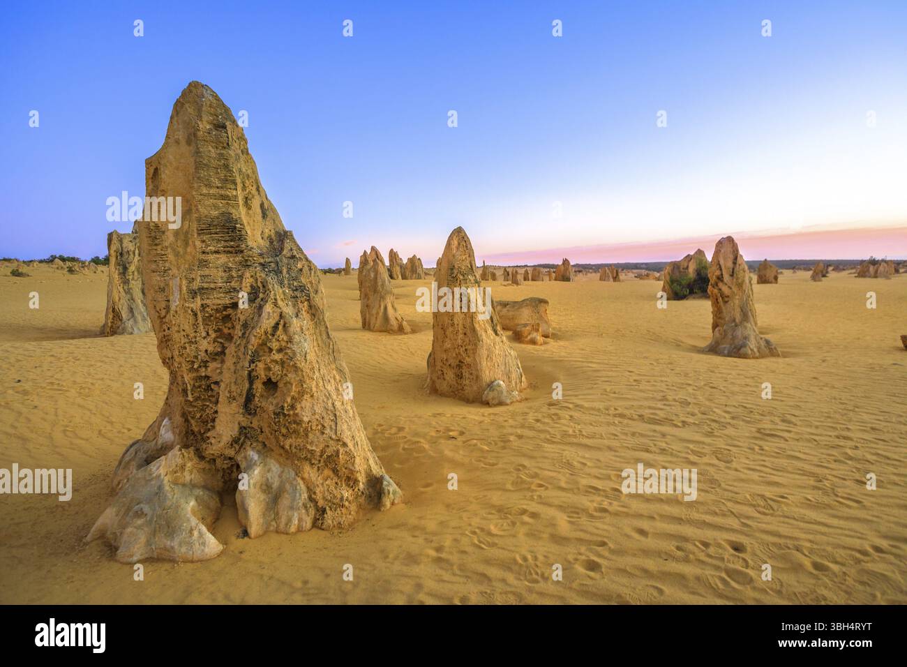Pink blue twilight on the desert of pinnacles in WA Nambung National ...
