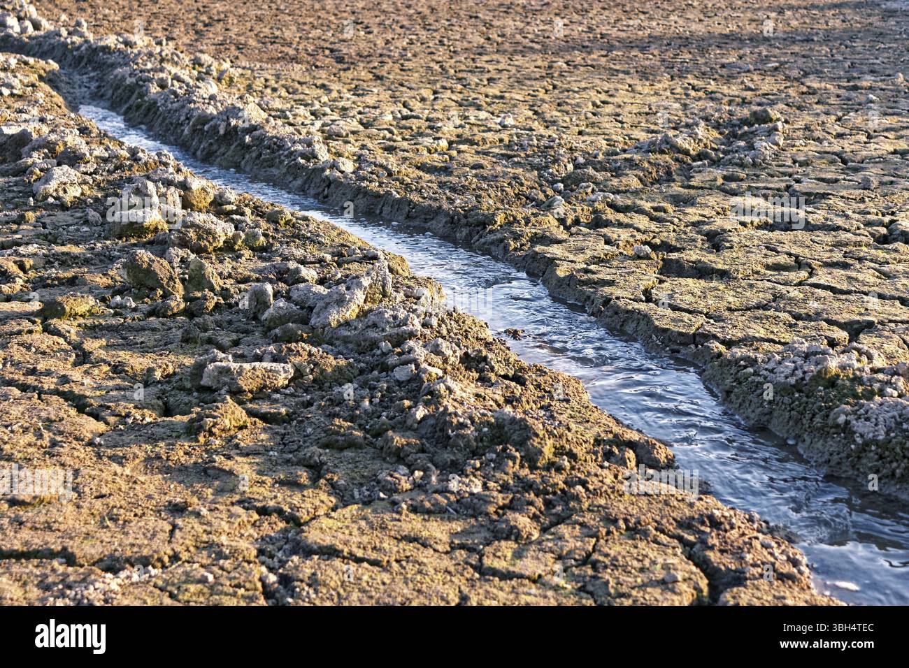 Small water stream flowing in the channel among dried cracked earth in ...