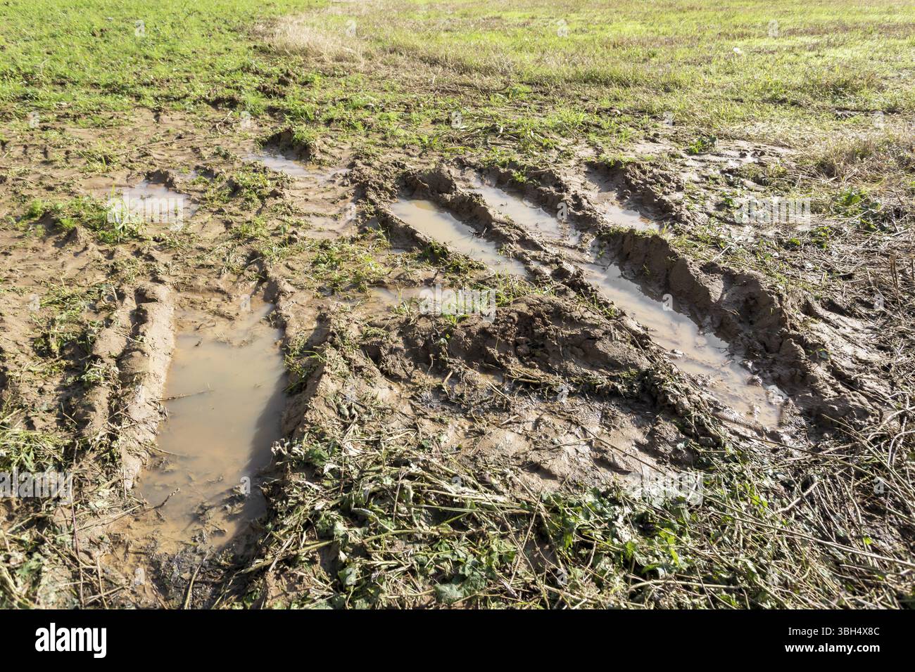 Dirty road with mud, grass and tracks between fields and fields in ...