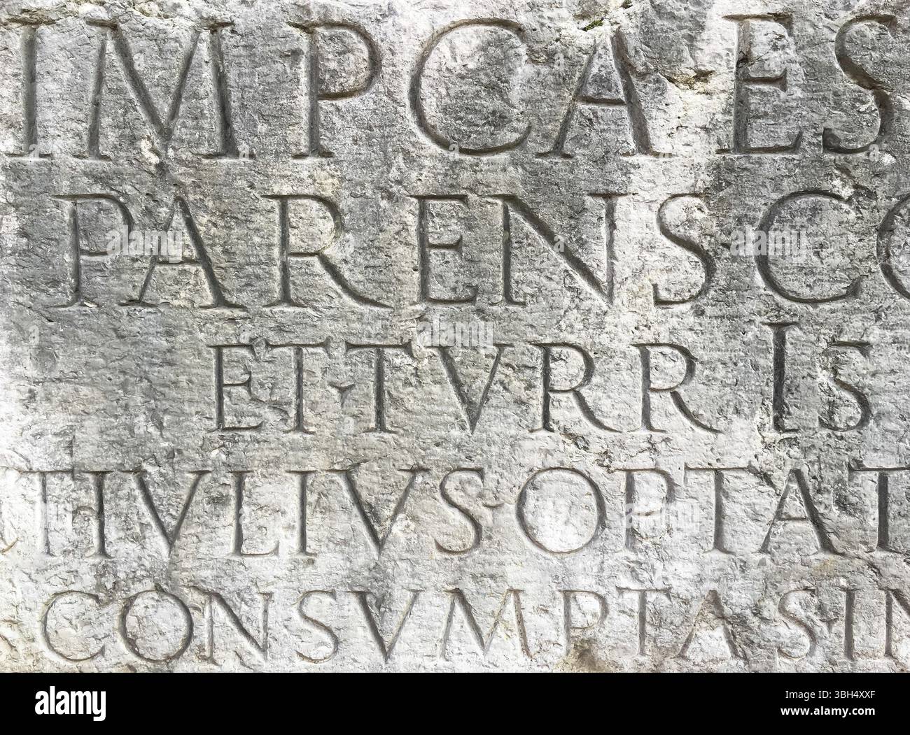 Roman letters engraved on stone. Concepts and backgrounds Stock Photo ...