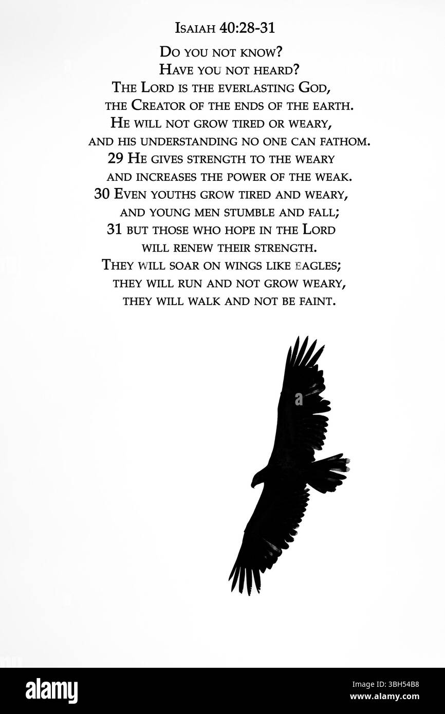 Bible verse Isaiah 40:28-32 with a silhouette of a bald eagle in black ...