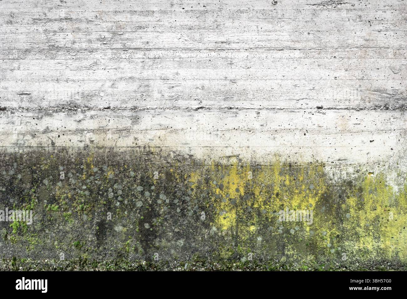 Mold and moss on grunge wall texture. The surface of old concrete wall ...