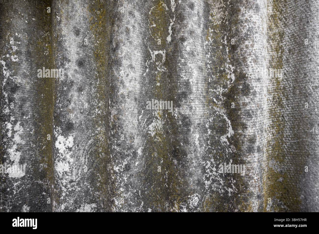 Asbestos cement panel, pollution source. Wavy roof cover on pollutant ...