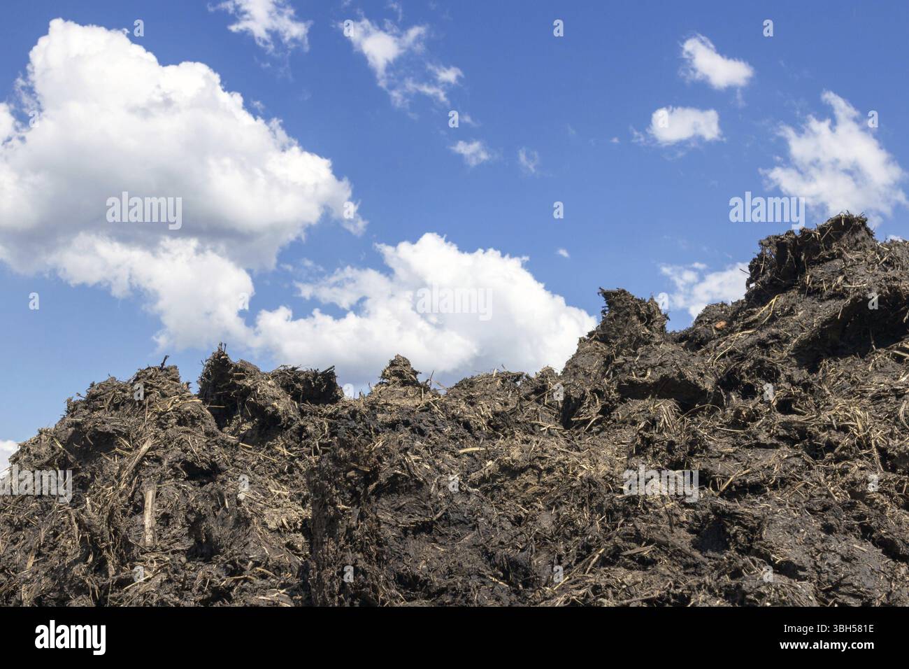 Manure. Pile of dung in the countryside. Stunning sky on background ...