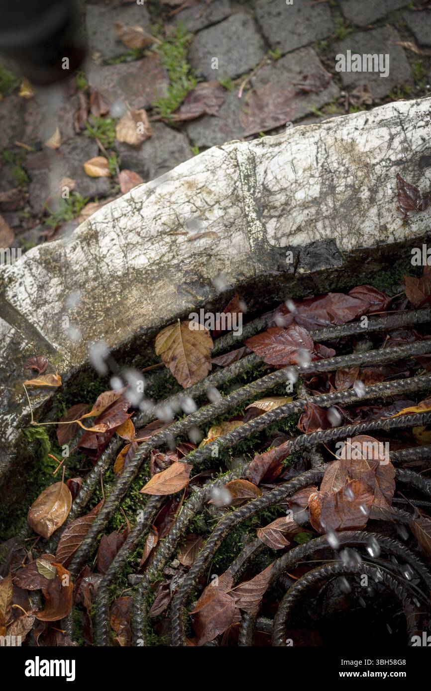 Some autumn leaves are falling in the pool of a fountain Stock Photo ...
