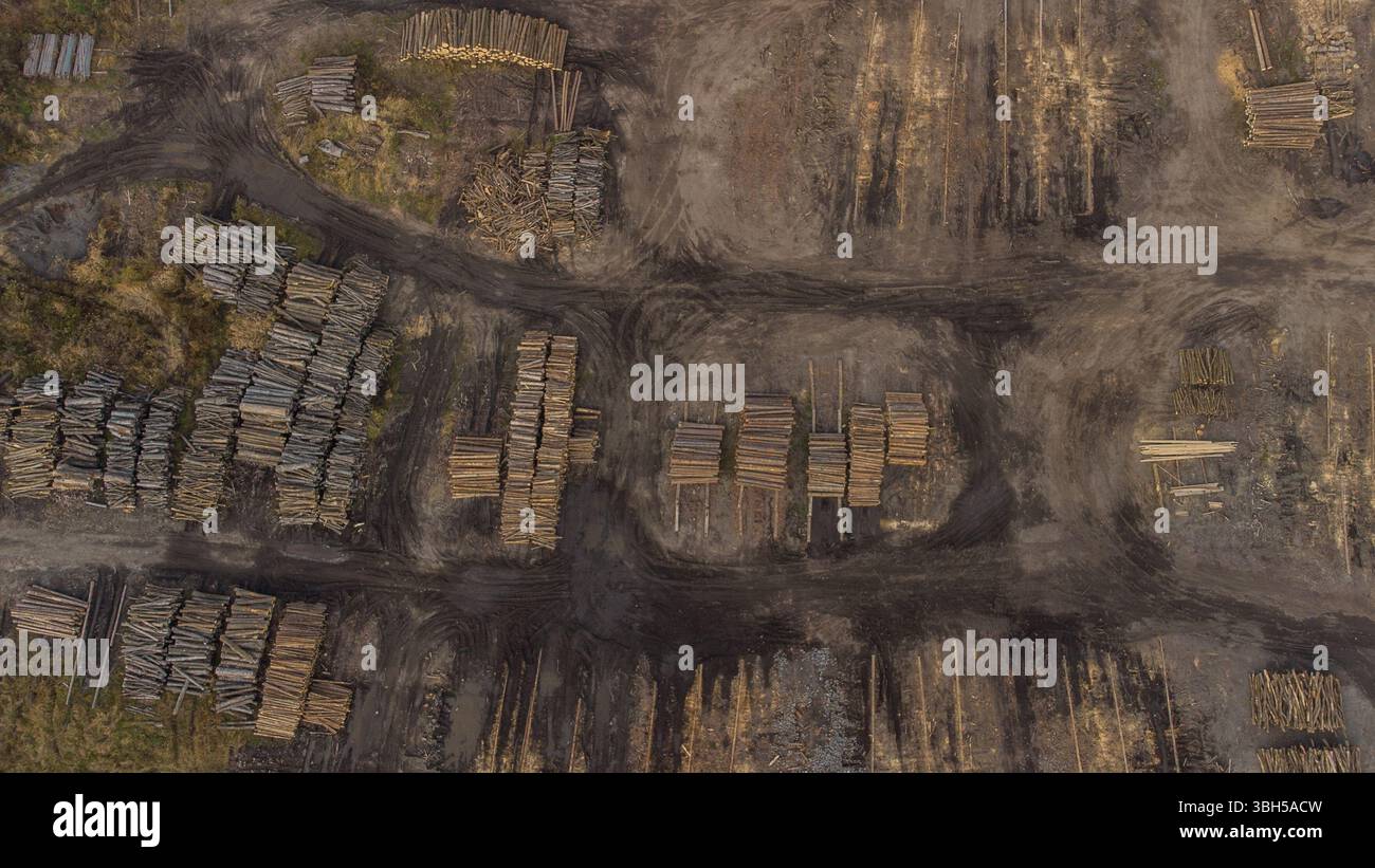 An aerial view of neatly stacked logs in a lumber yard in the Czech ...