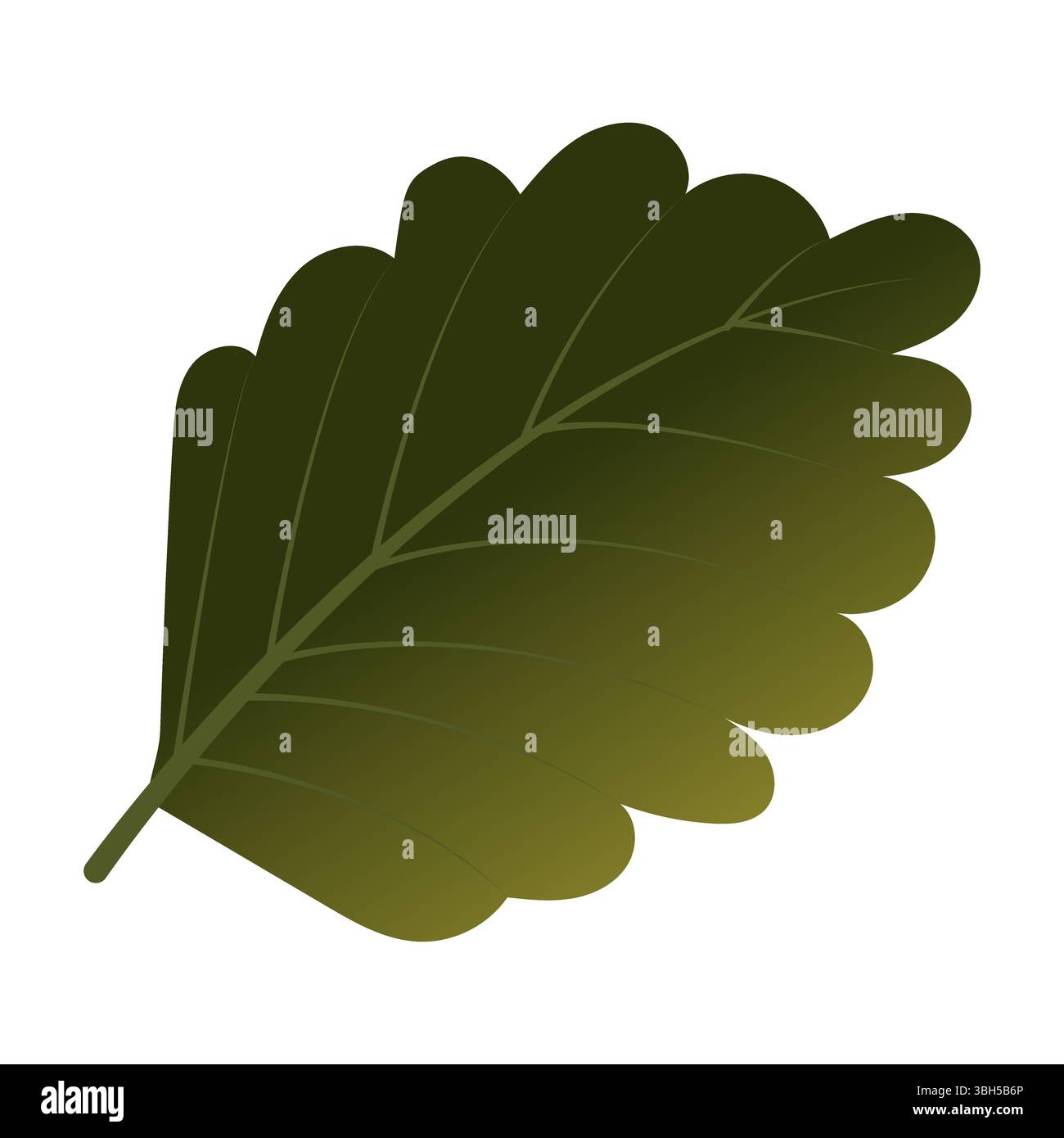Strawberry leaf close-up. Part of the plant. Vector illustration ...