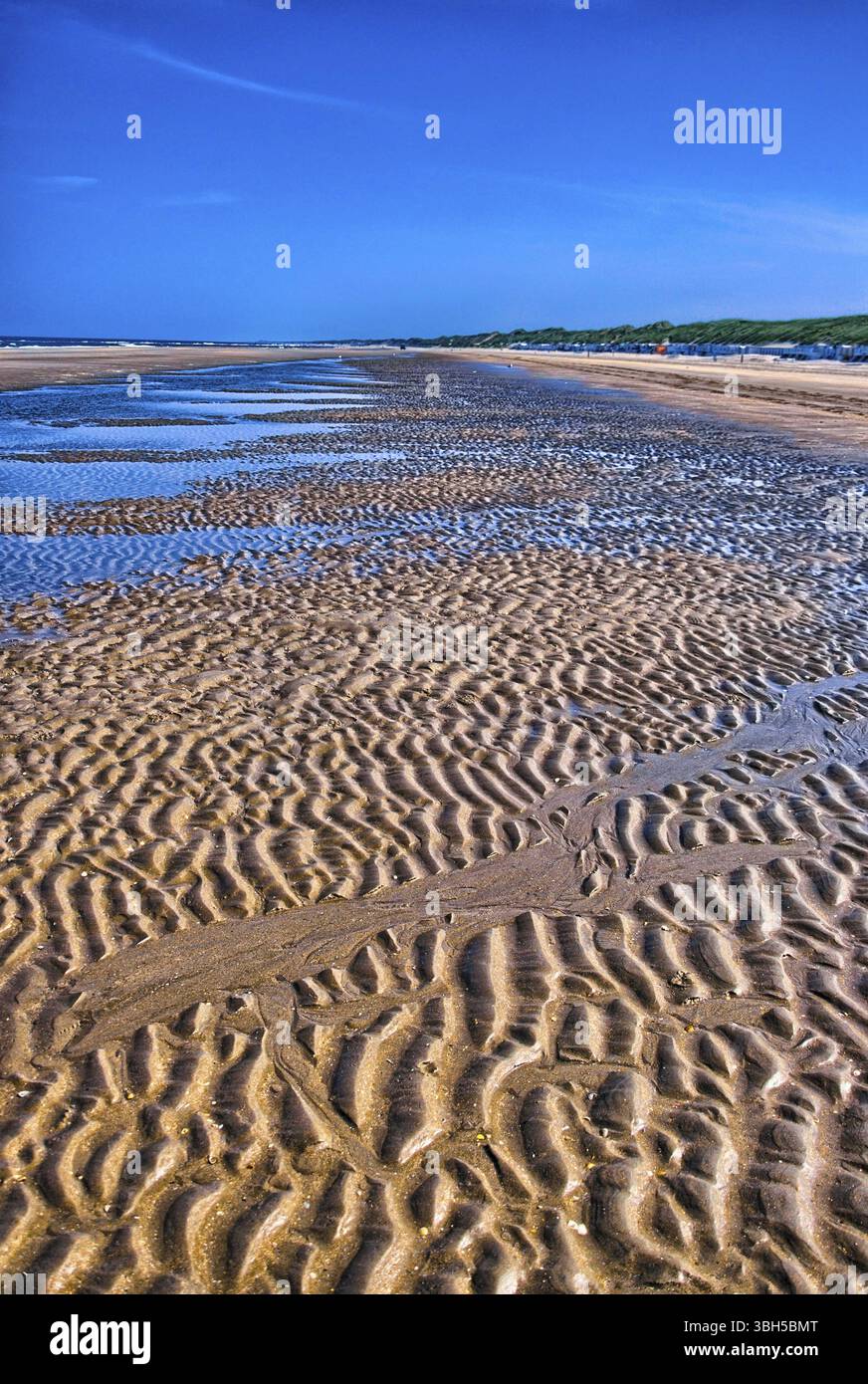 Furrows in the beach, North Sea, Zandvoort near Amsterdam, Holland ...