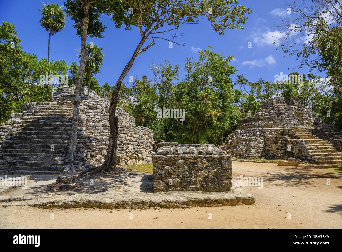 Mayan ruins in shadow of trees in jungle tropical forest Playa del ...