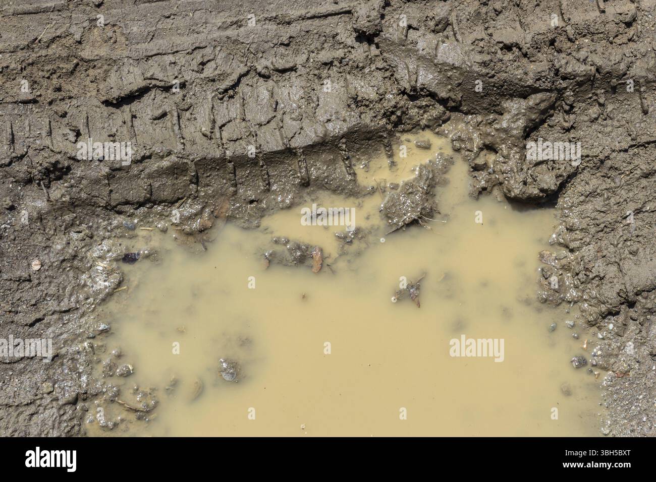 Texture of wet brown mud with car tyre tracks Stock Photo - Alamy