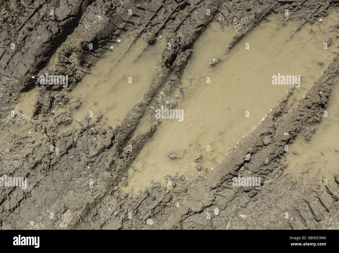 Texture of mud. Wet dirt. Puddle Stock Photo - Alamy