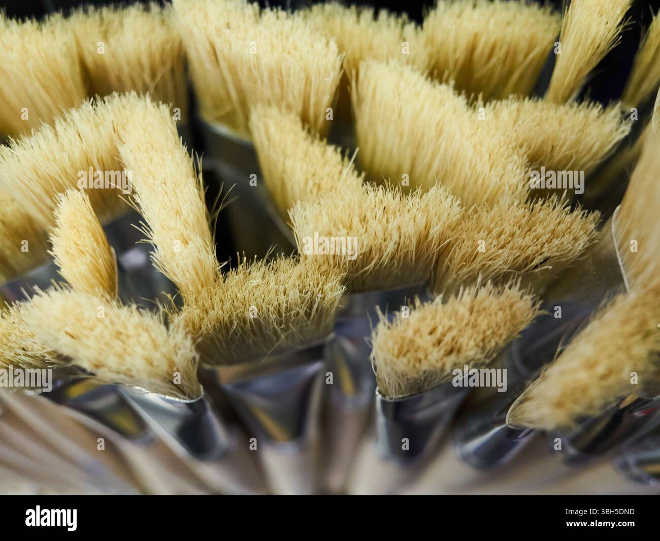 Bunch of paintbrushes with bristles are shown. The bristles are tan in ...
