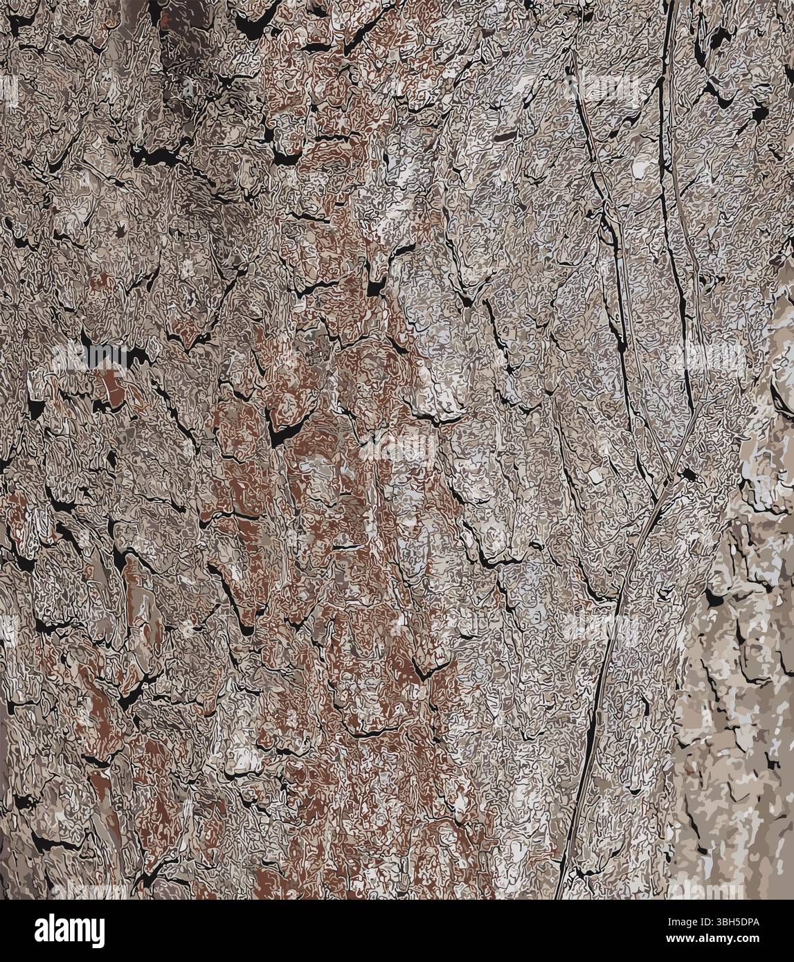 Vector illustration of bark details Catalpa tree - Latin name - Catalpa ...