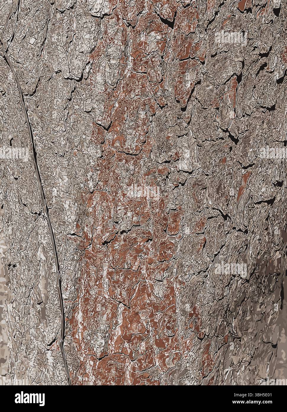 Vector illustration of the bark details Catalpa tree - Latin name ...