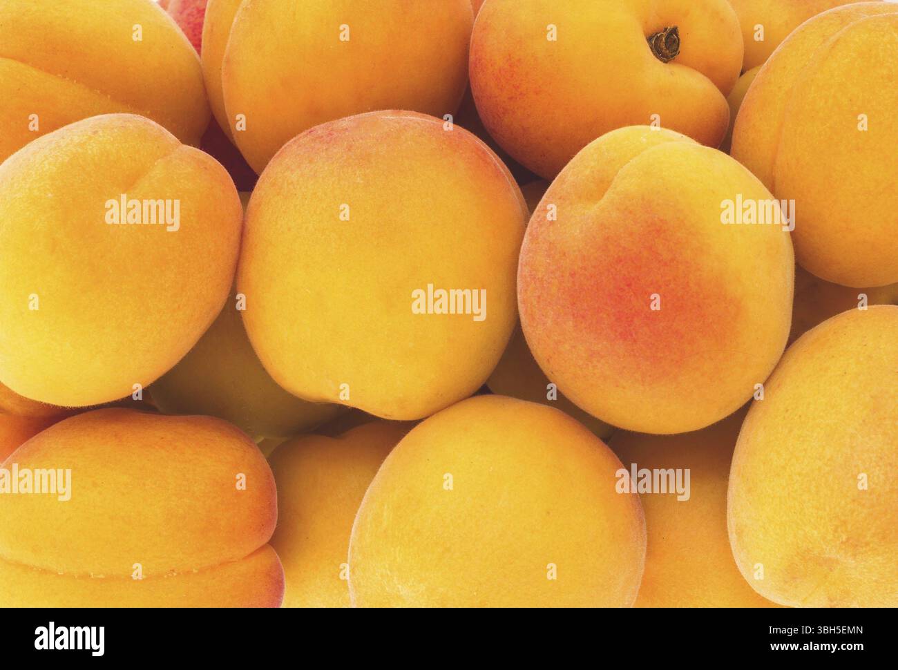 Top down view apricots hi-res stock photography and images - Alamy