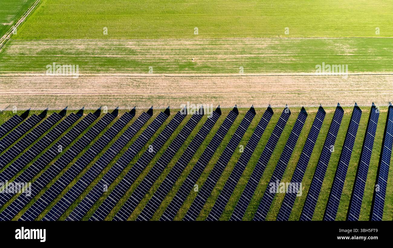 Field of solar panels is shown in the image. The panels are arranged in ...