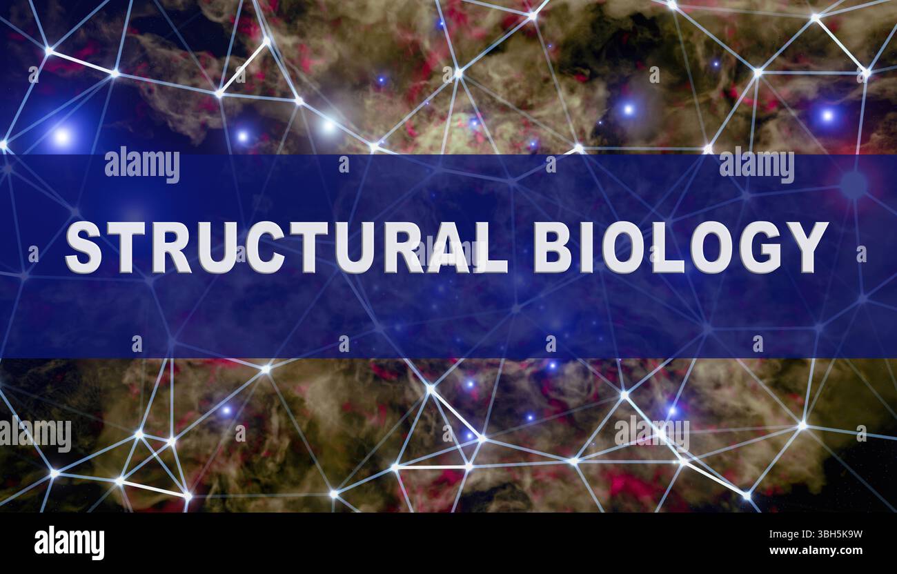 Structural biology. Analyses the 3D structures of biological ...