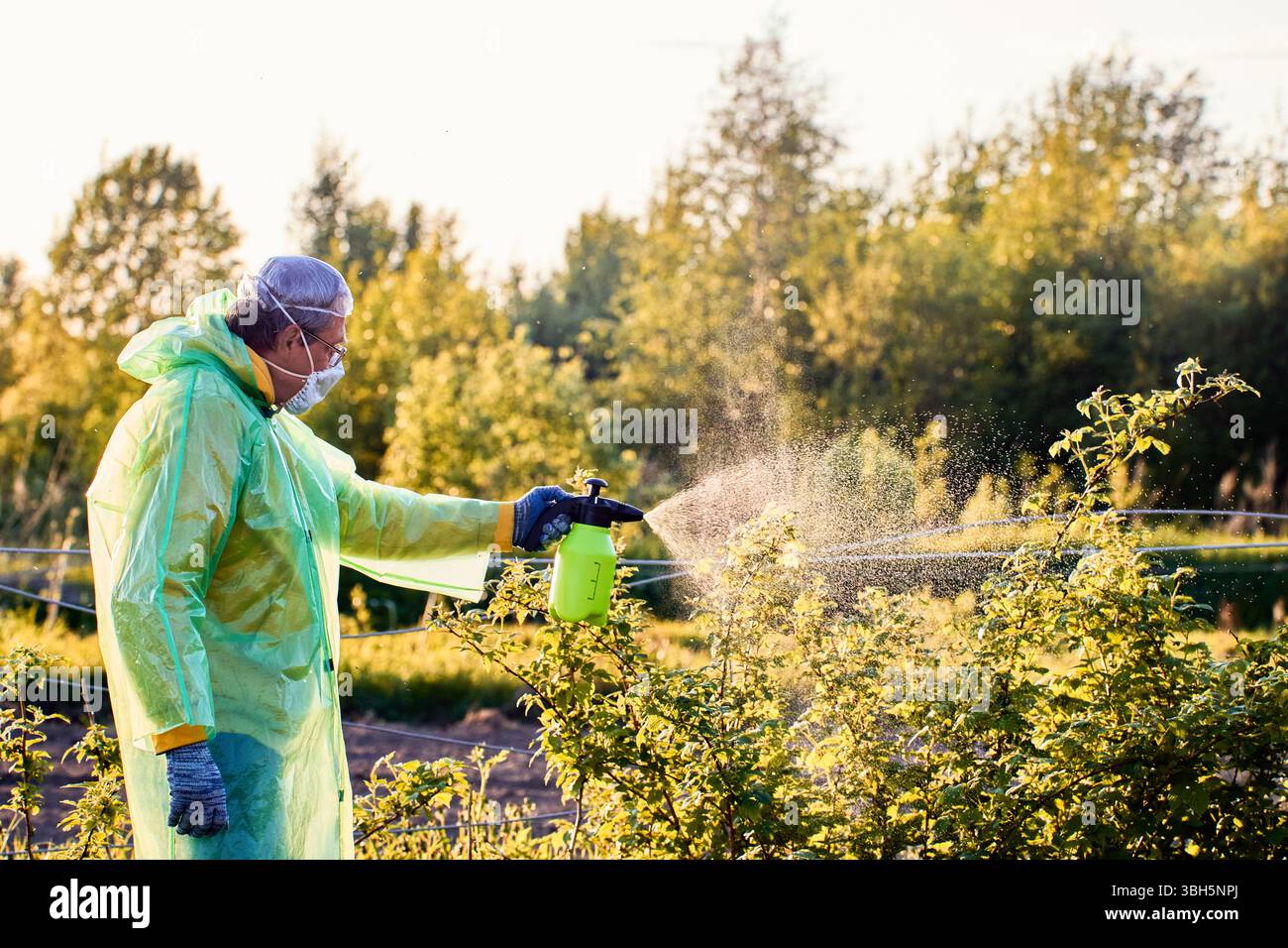 Person in protective clothing uses hand pump sprayer to apply liquid ...