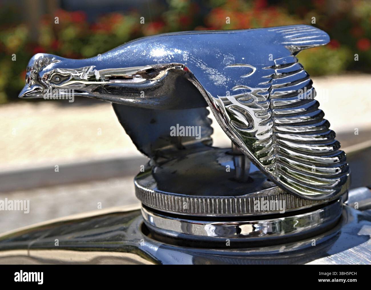 Silver plated emblem hi-res stock photography and images - Alamy
