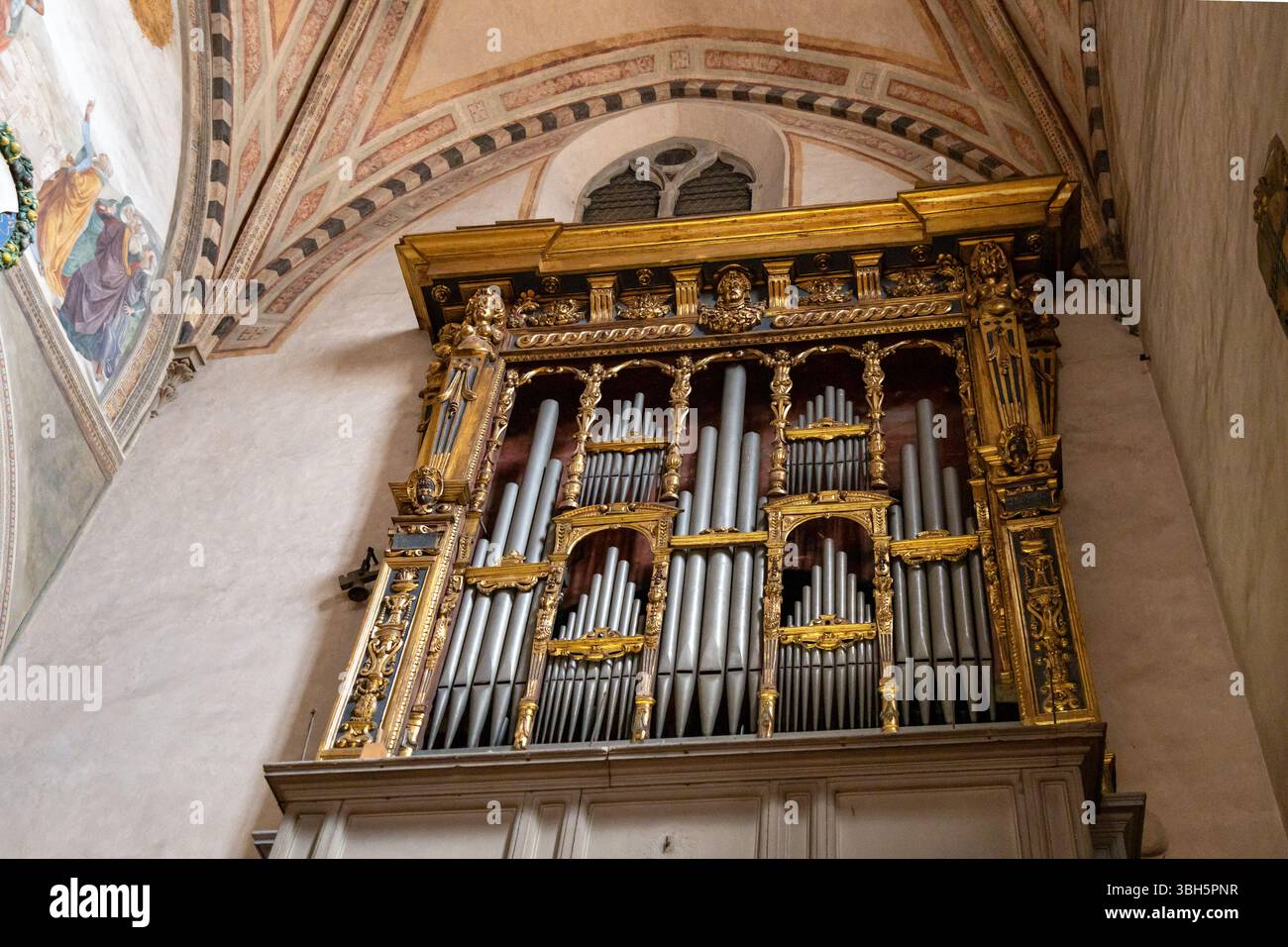 Pipe organ with golden details inside the Basilica di Santa Trinita, a ...